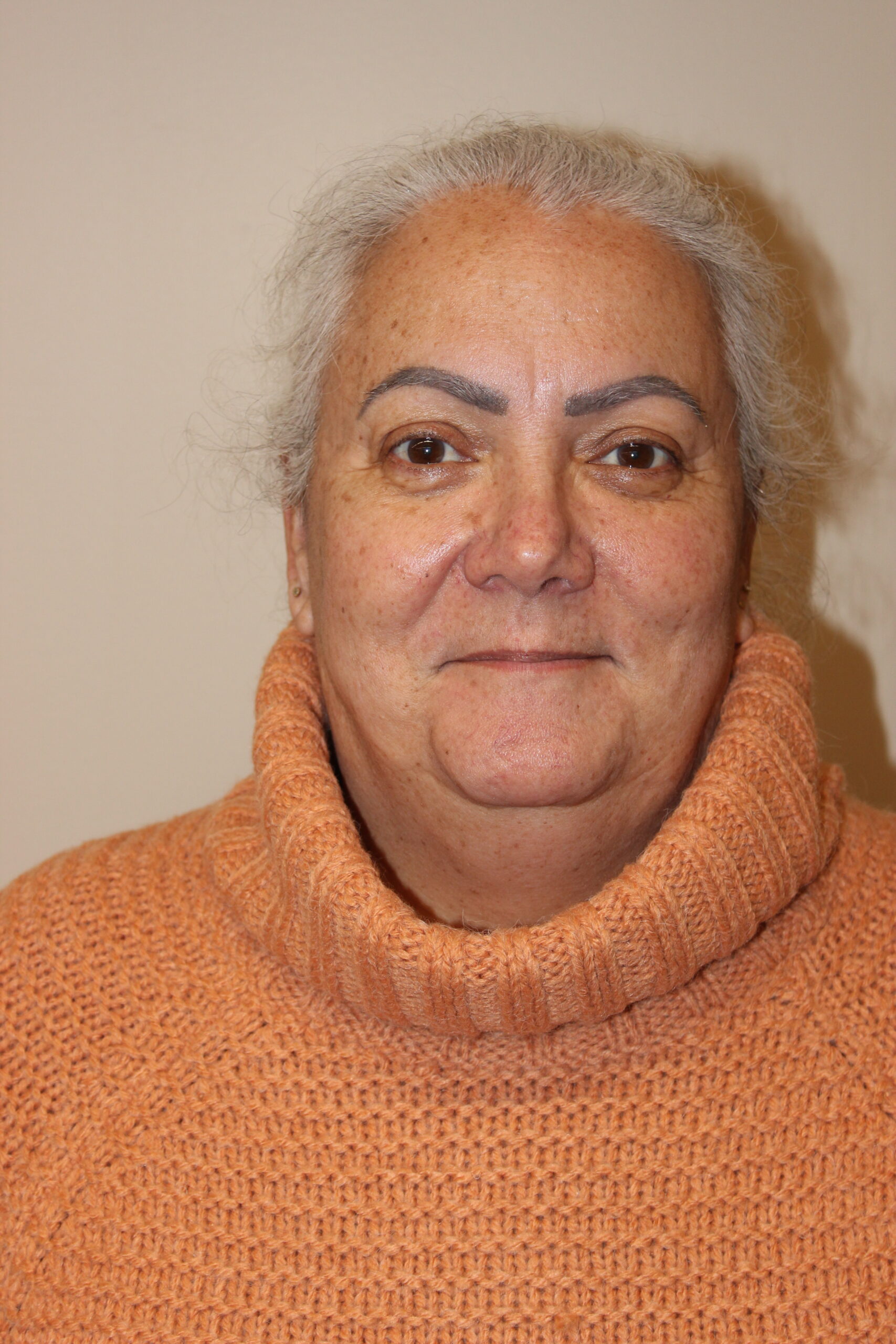 Board of Directors – Indigenous Interprofessional Primary Care Team